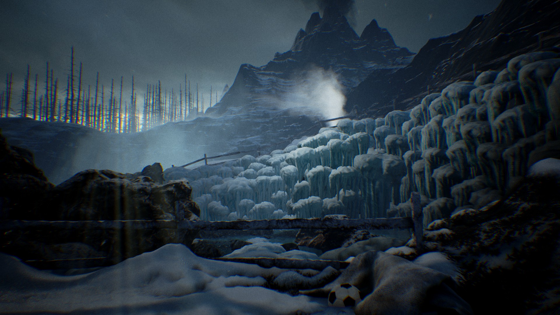 The Fidelio Incident: Trauma and Text – Death is a Whale